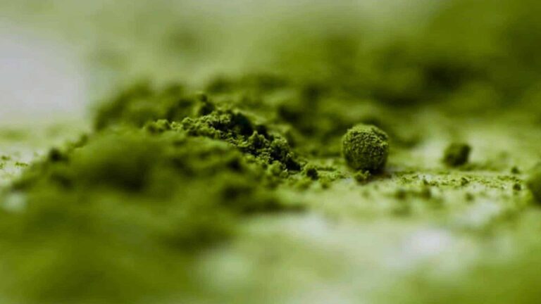 MTHFR Methylfolate vs. Folic Acid: Key Differences Explained